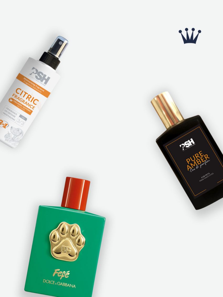 Sites-palacio-MX-Site