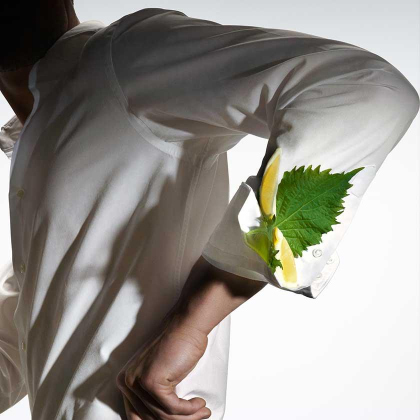 Hugo Boss: Perfume Vigorous Cologne, Eau de Parfum 100 ml para Hombre ...