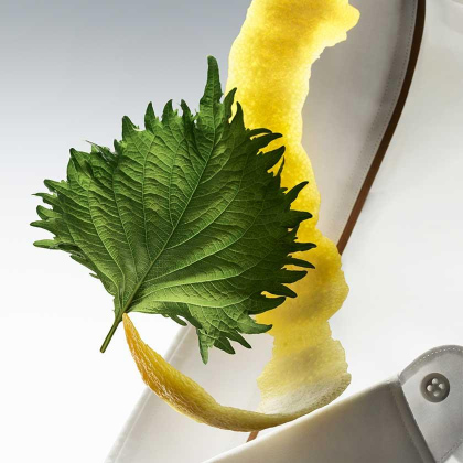 Hugo Boss: Perfume Vigorous Cologne, Eau de Parfum 100 ml para Hombre ...