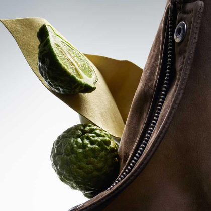 Boss: Perfume The Collection Invincible Bergamot Eau de Parfum, 100 ml ...