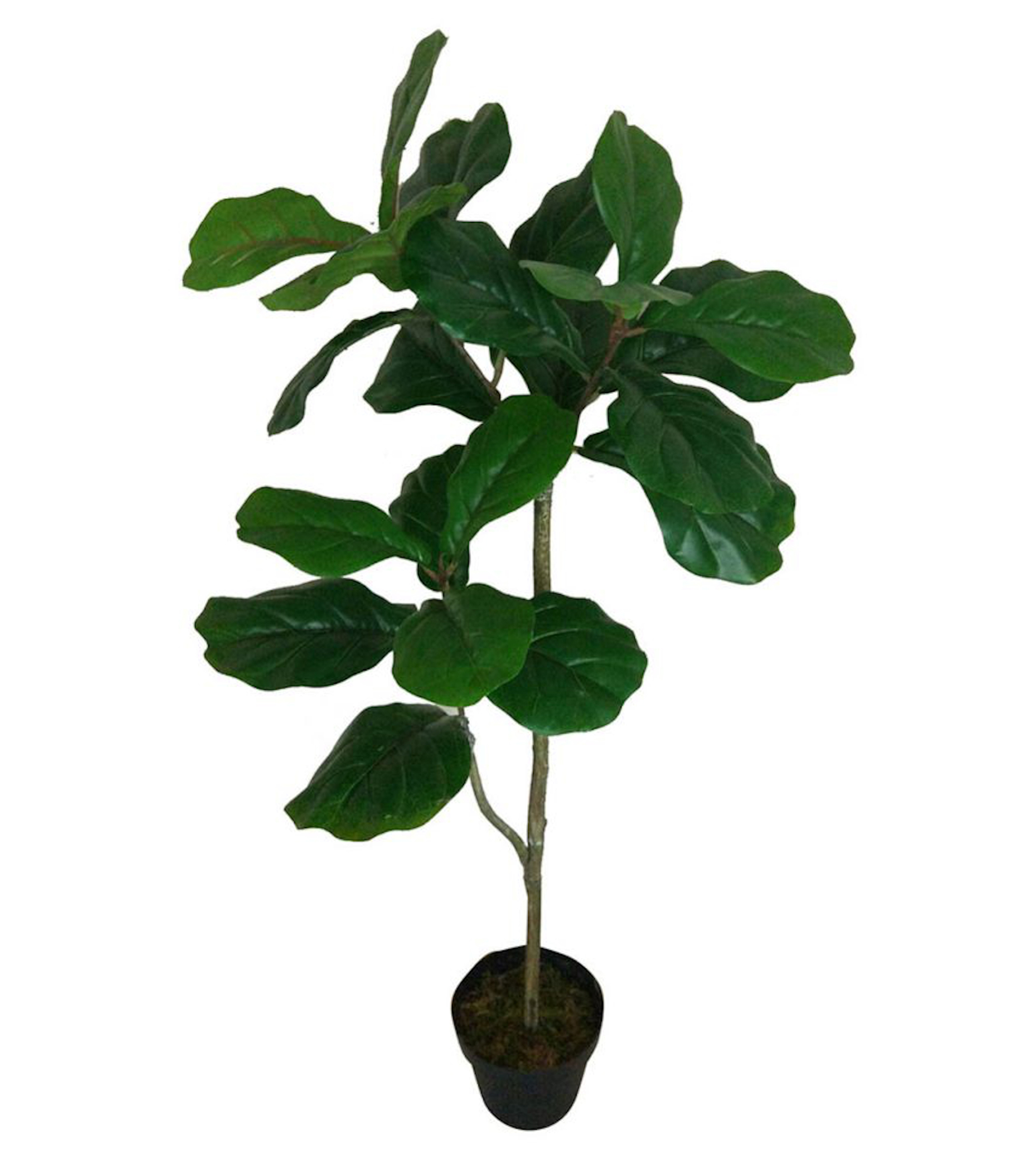 A&B Home Maceta con Planta de Higo, Artificial - El Palacio de Hierro