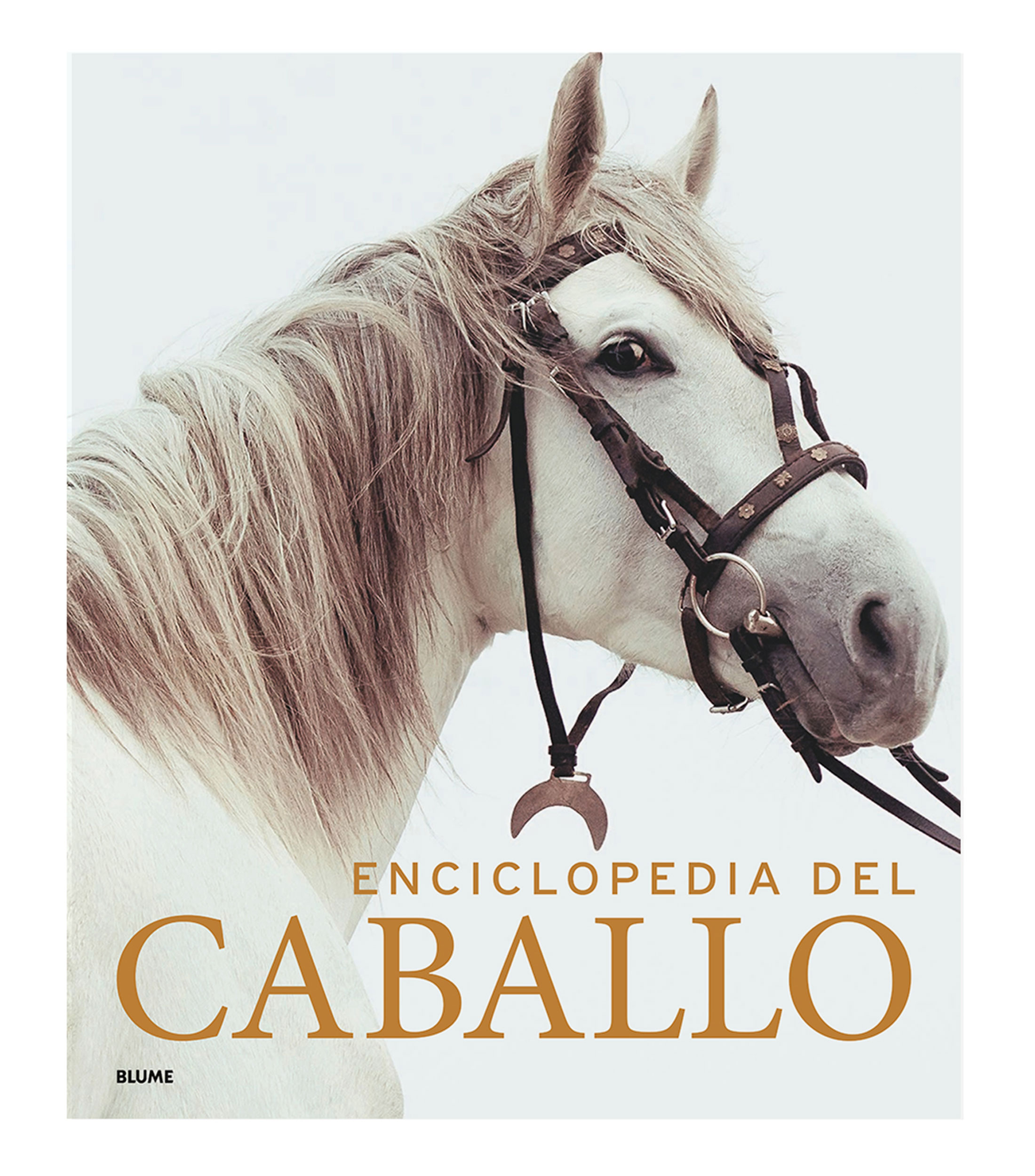 Varios Autores Enciclopedia del Caballo - El Palacio de Hierro