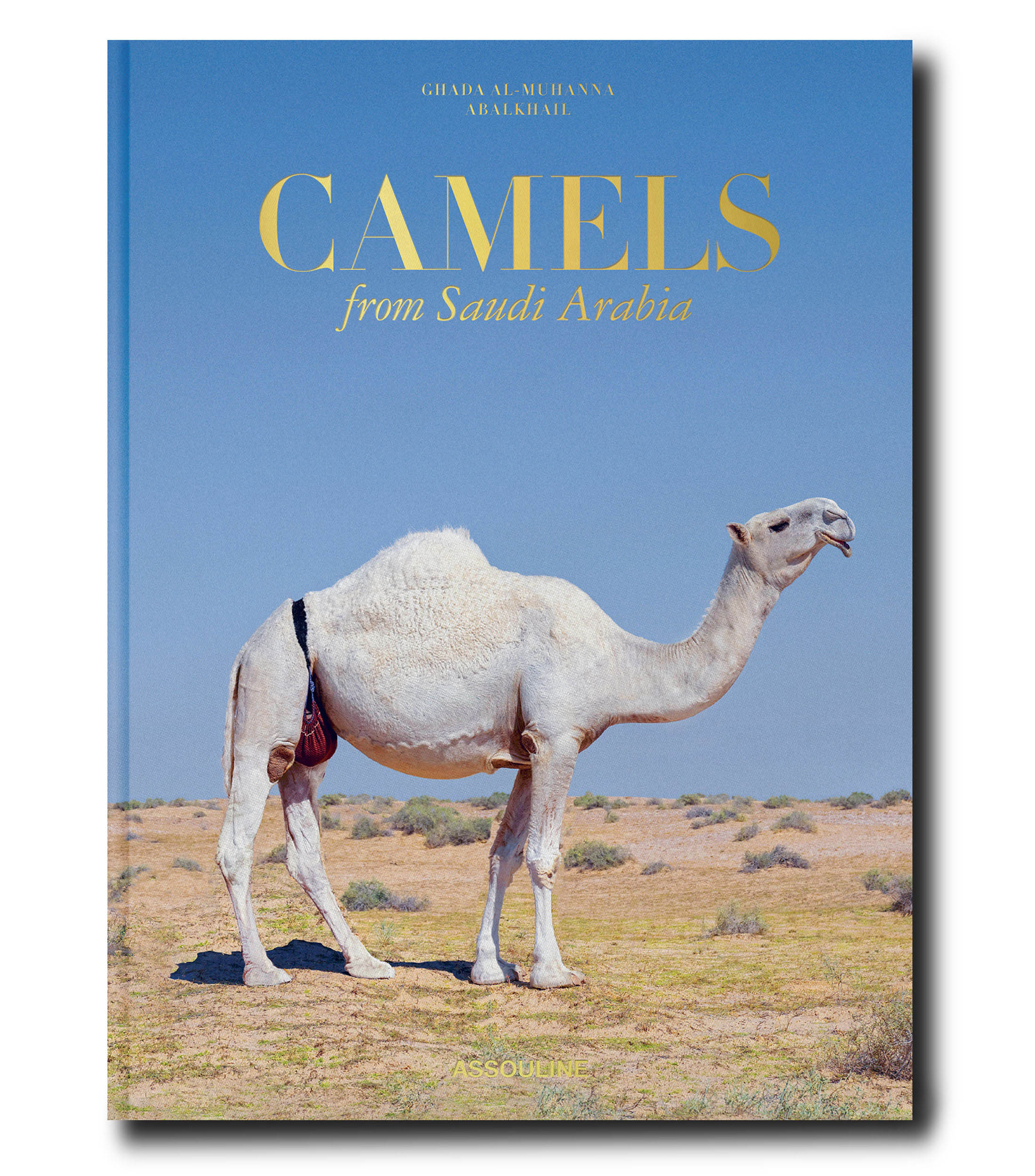 Ghada Al-Muhanna Abalkhail Camels from Saudi Arabia (Classic) - El ...
