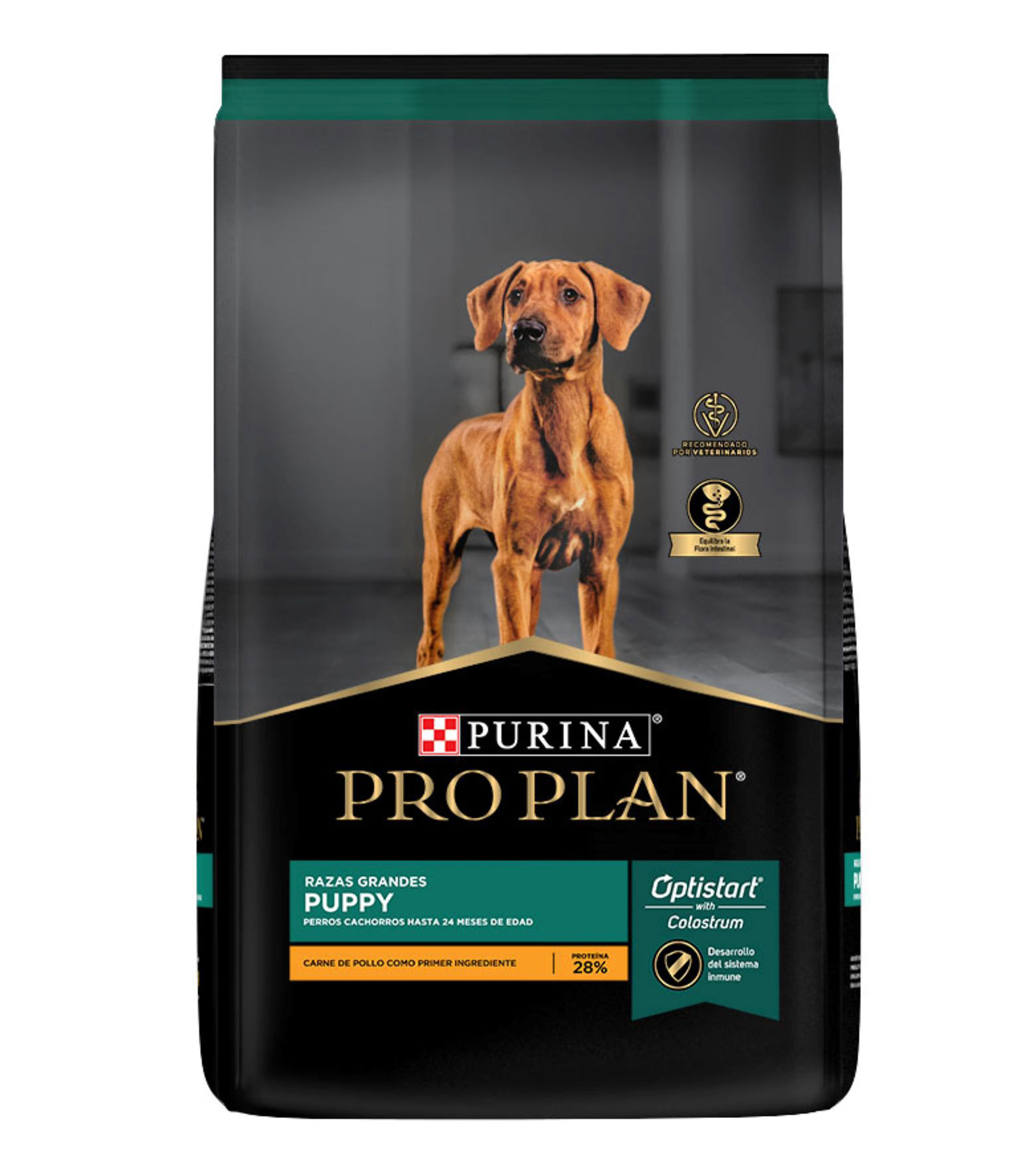 Purina Pro Plan Alimento Húmedo para Perro - Raza Grande Puppy, 3.5 Kg ...
