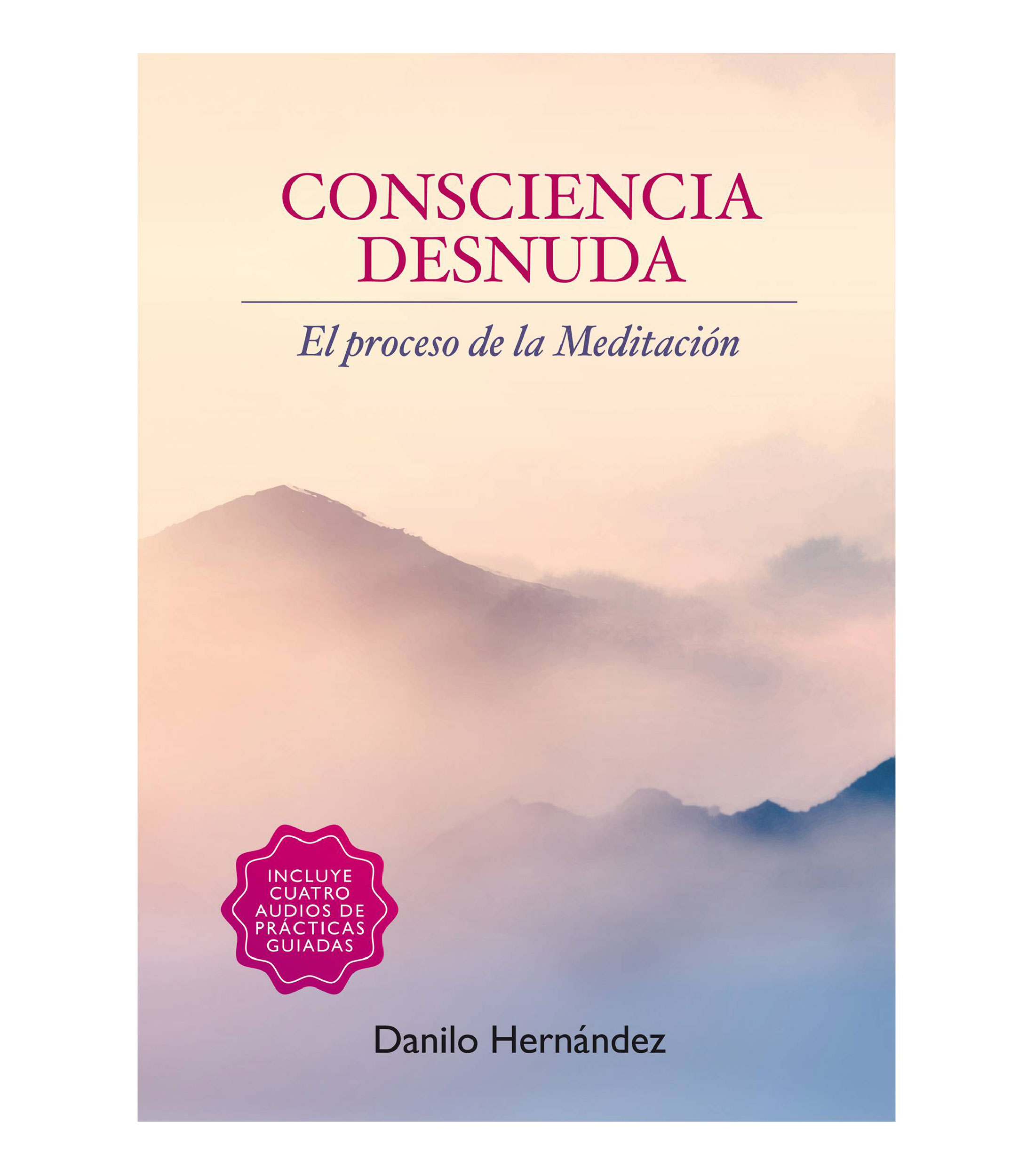 Danilo Hernández: Consciencia Desnuda: El Proceso de la Meditación | El ...
