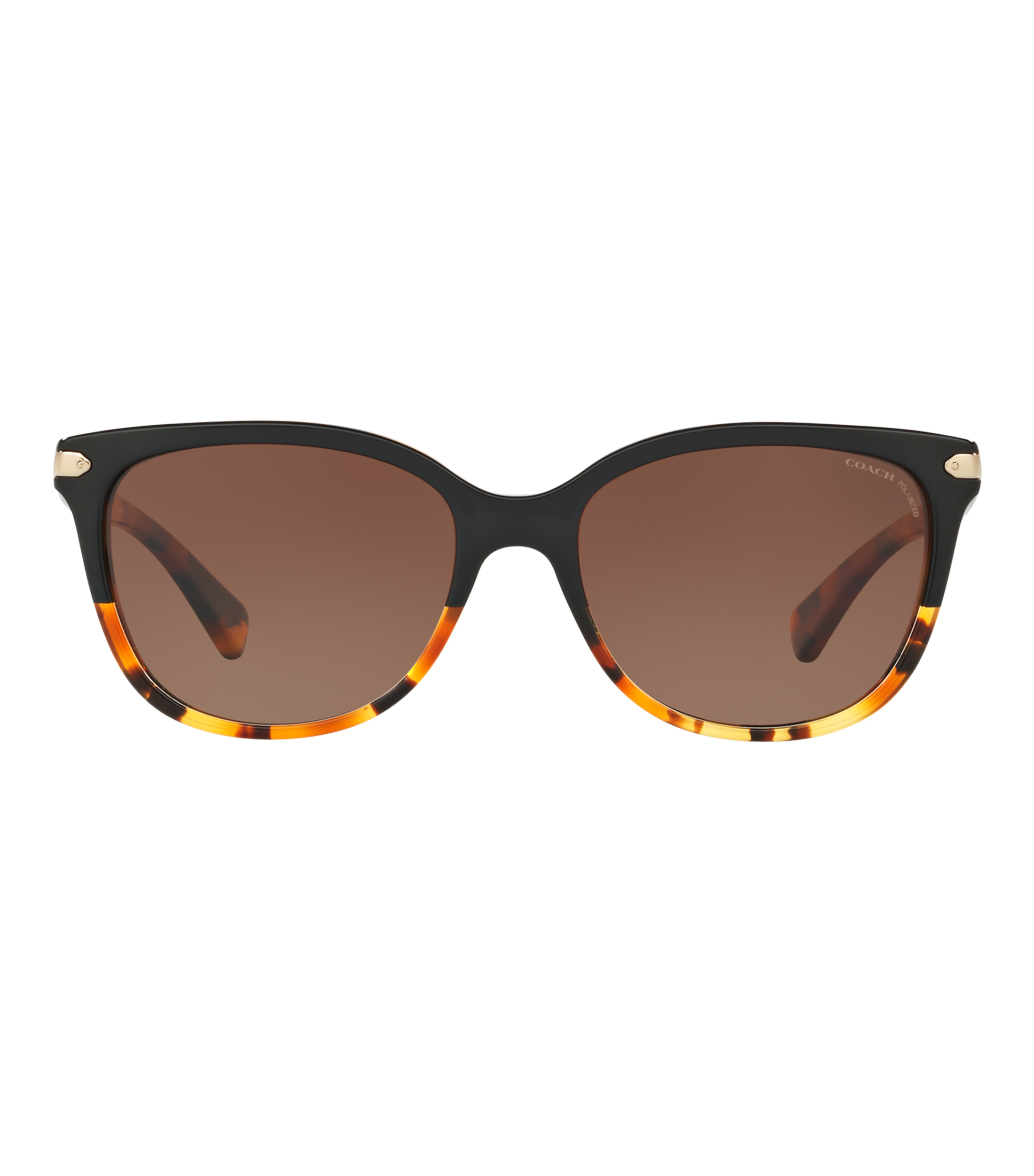 COACH: Lentes de Sol panthos Mujer | El Palacio de Hierro