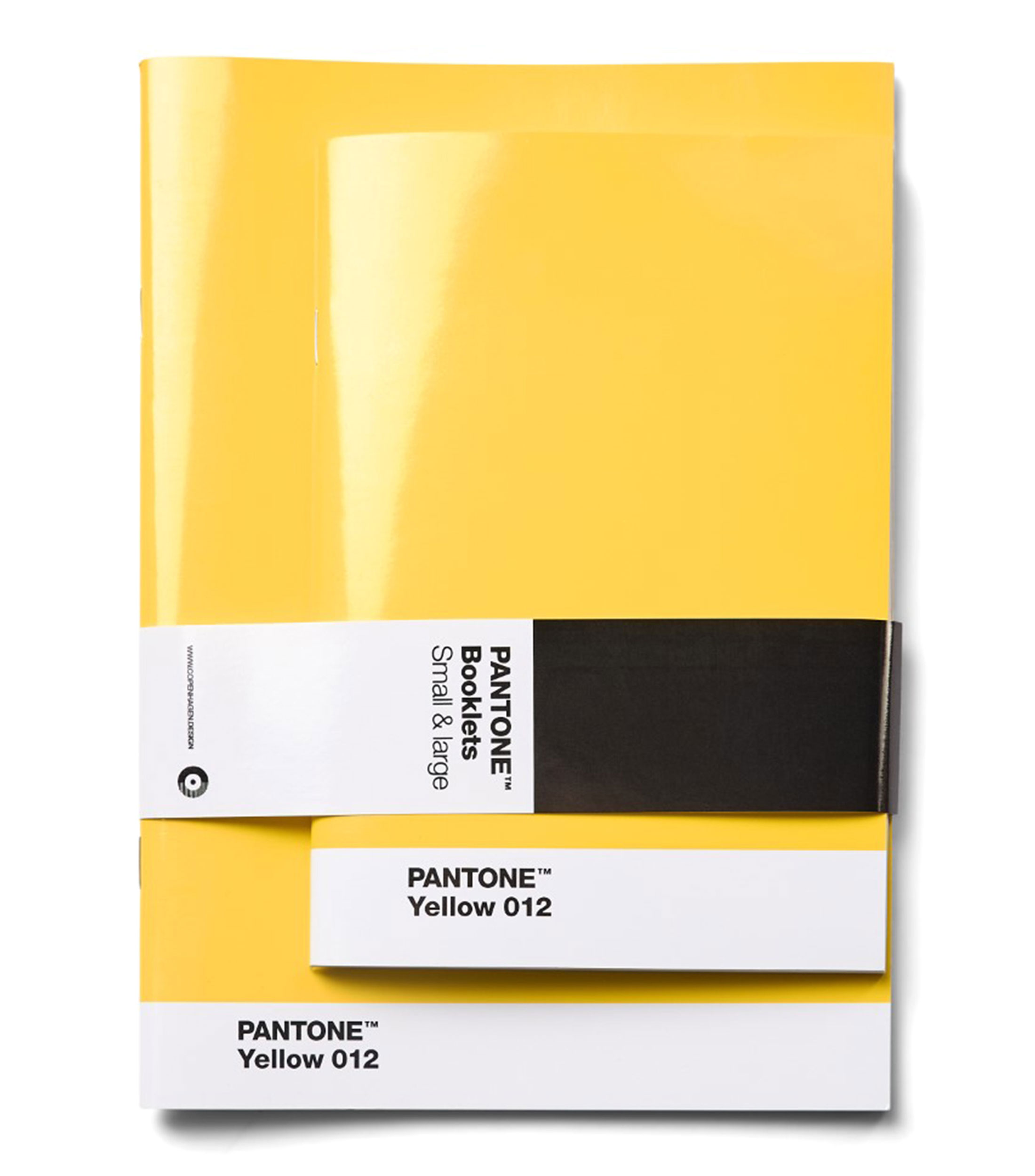 Pantone Set 2 libretas Yellow 012 - El Palacio de Hierro