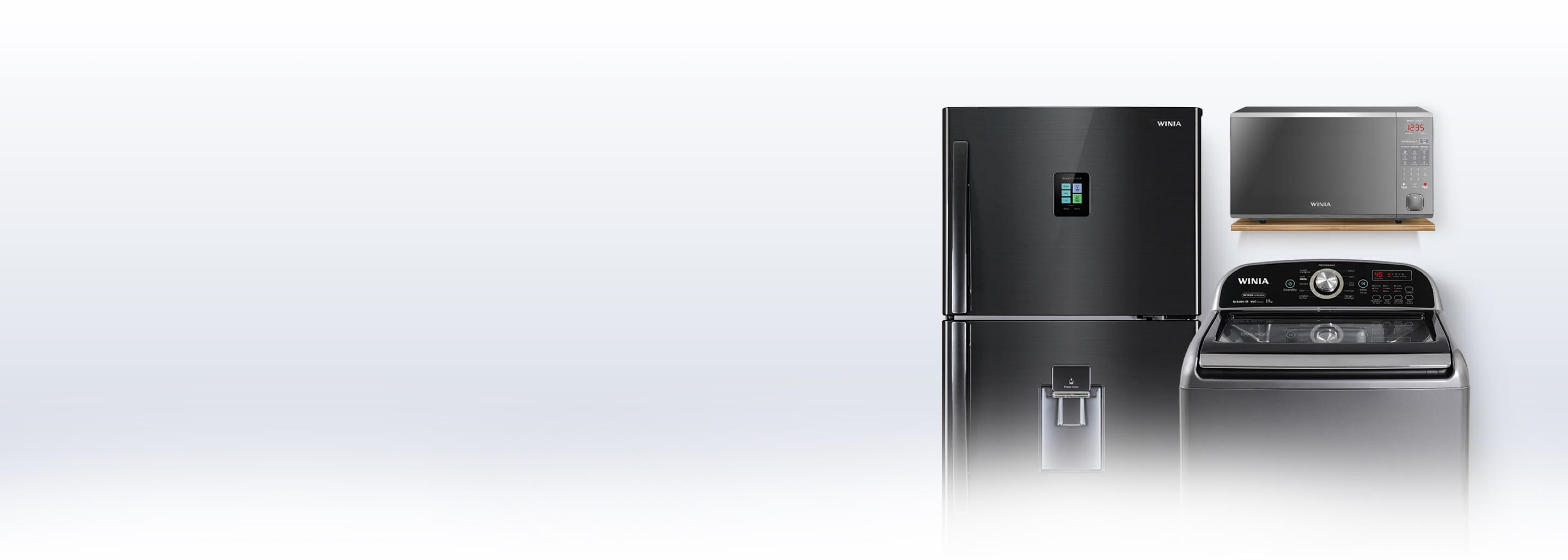 Winia Electronics México | Antes Daewoo - El Palacio de Hierro