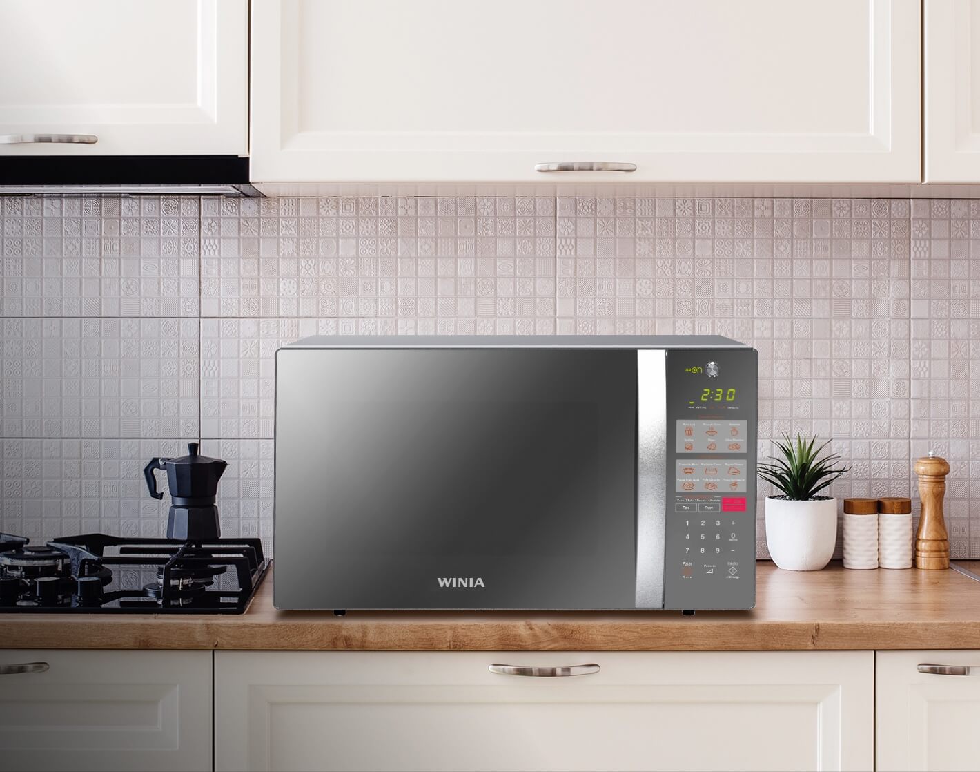 Winia Electronics México | Antes Daewoo - El Palacio de Hierro